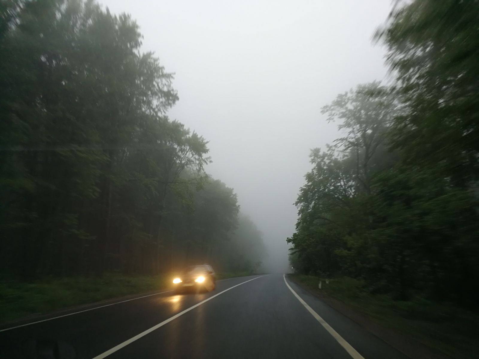 roman24 | Carosabil umed în jumătatea nordică a regiunii. Cum se ...