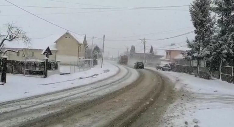 roman24 | ”Ninsoarea mieilor”. NINGE abundent în centrul țării